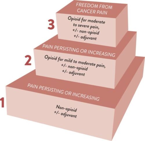 Intravenous Acetaminophen : Fast-Acting, Non-Opioid Pain Relief